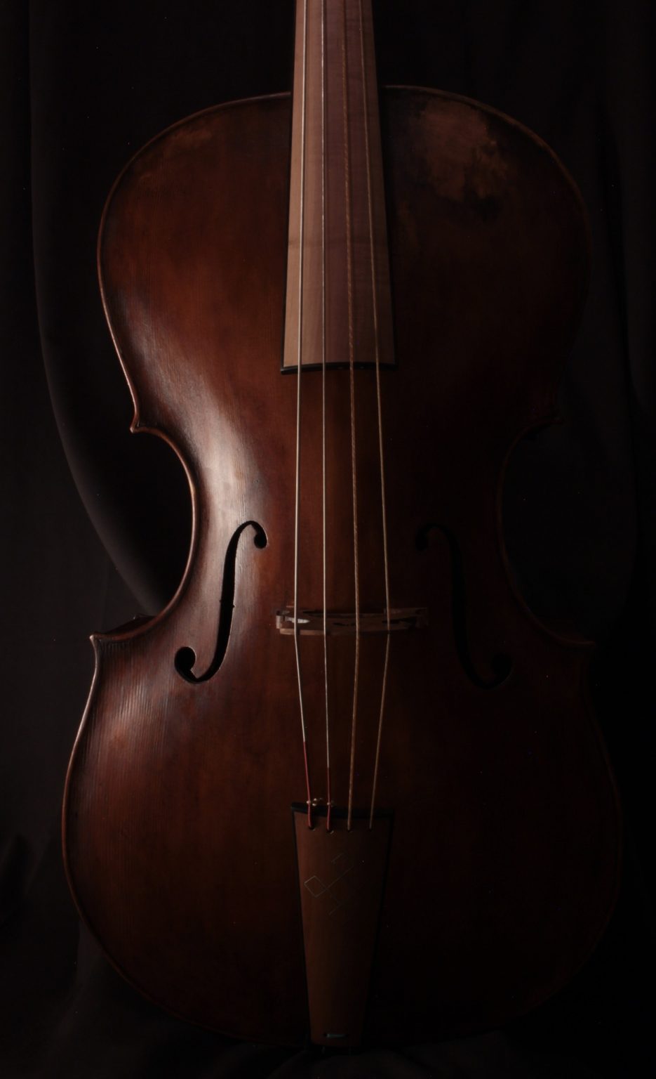 Baroque cello - Basse de Violon - Violoncello piccolo, 5 string cello